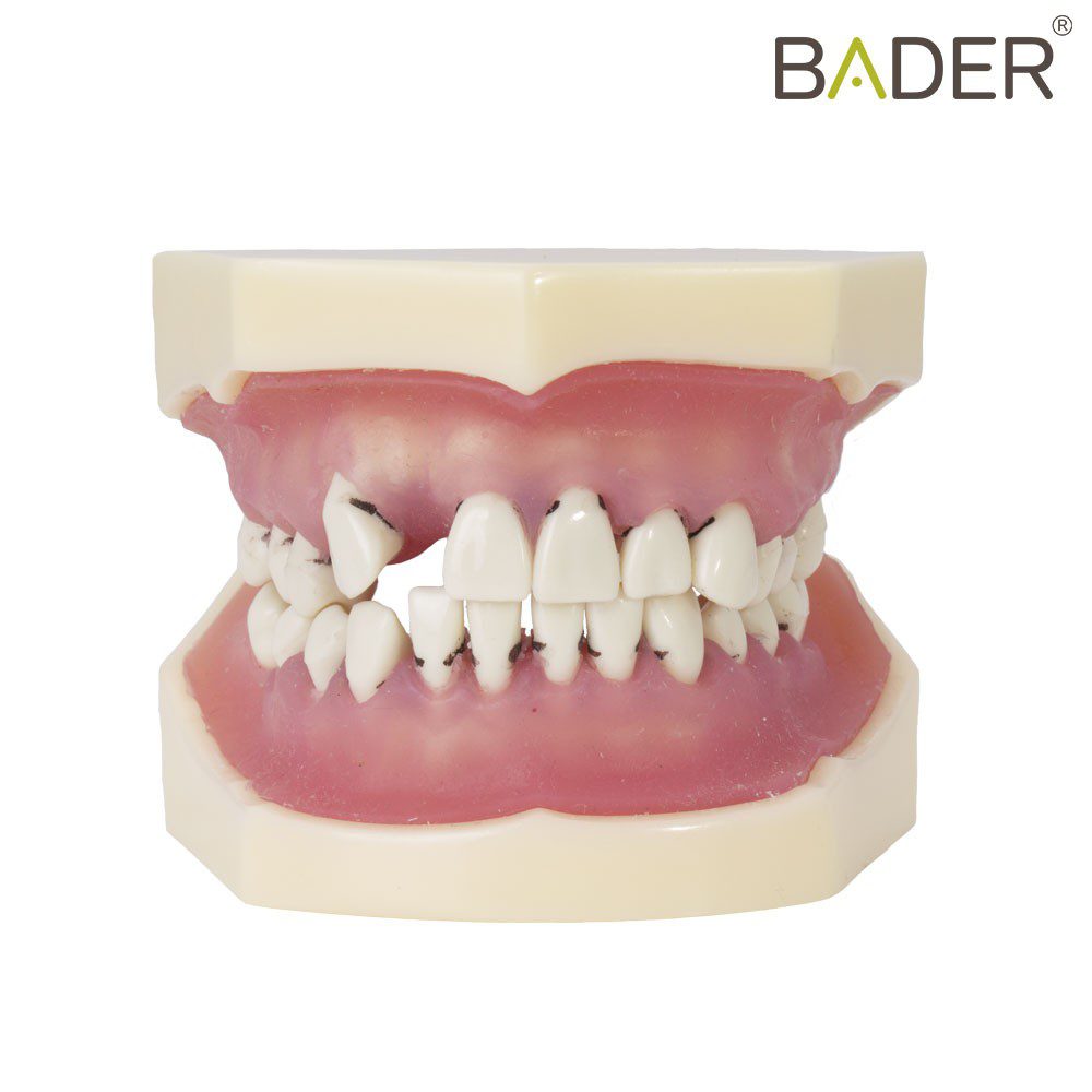 MODELO DE PERIODONCIA | Bader Iberoamericana